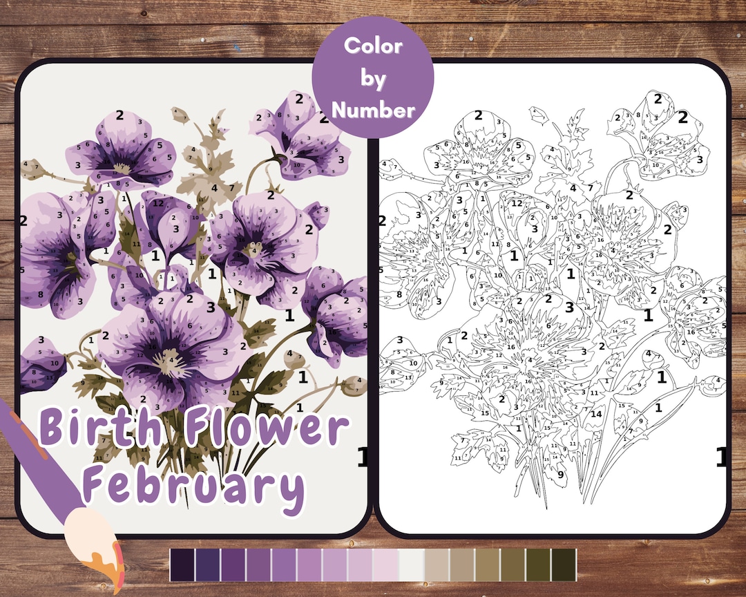 February Birth Flower Color by Number, Violet Flower Paint by Number ...