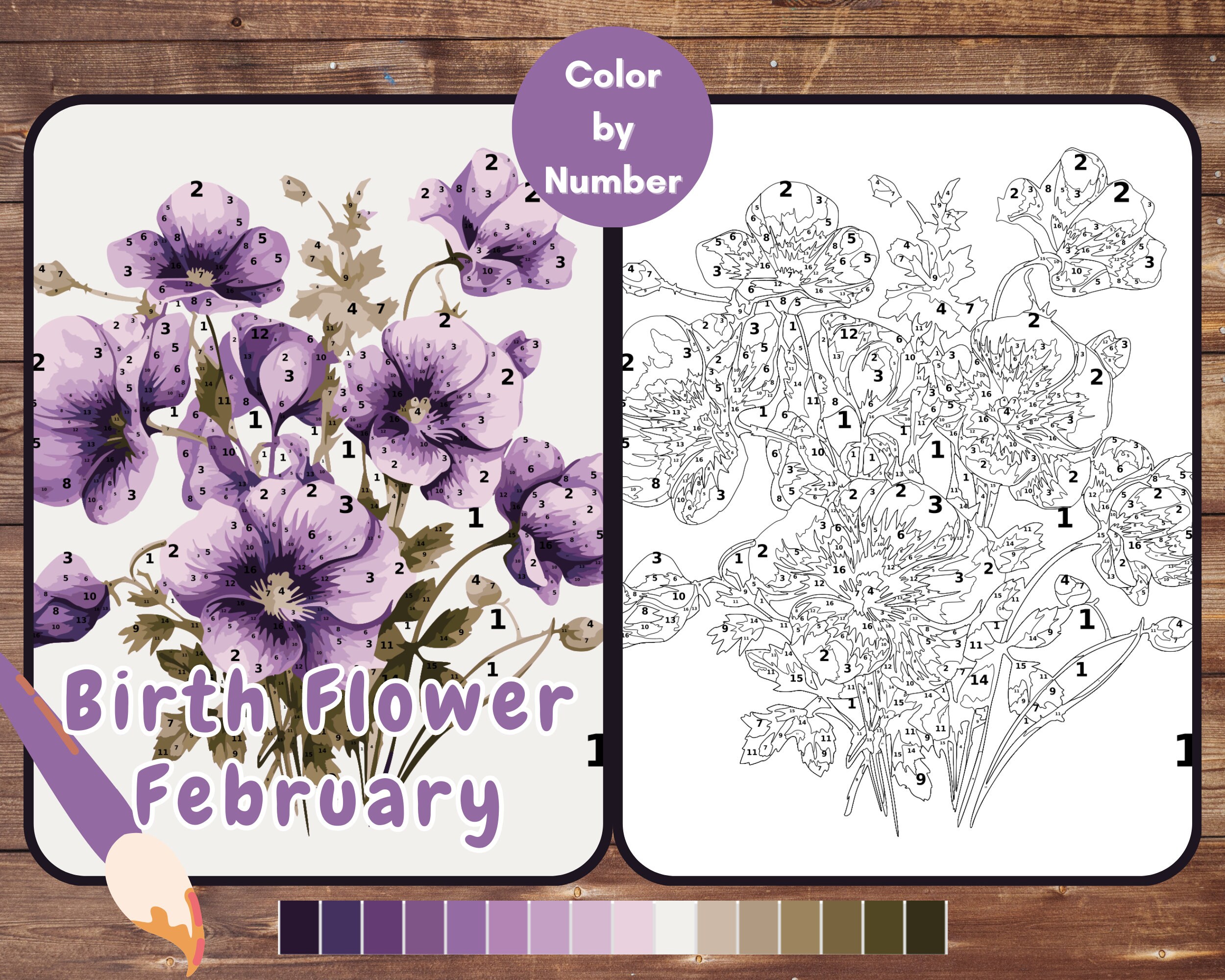 February Birth Flower Color by Number, Violet Flower Paint by Number ...