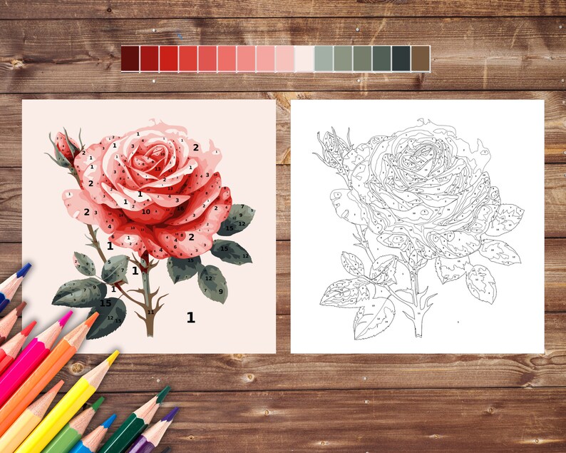 June Birth Flower Color by Number, Rose Paint by Number for Adult ...
