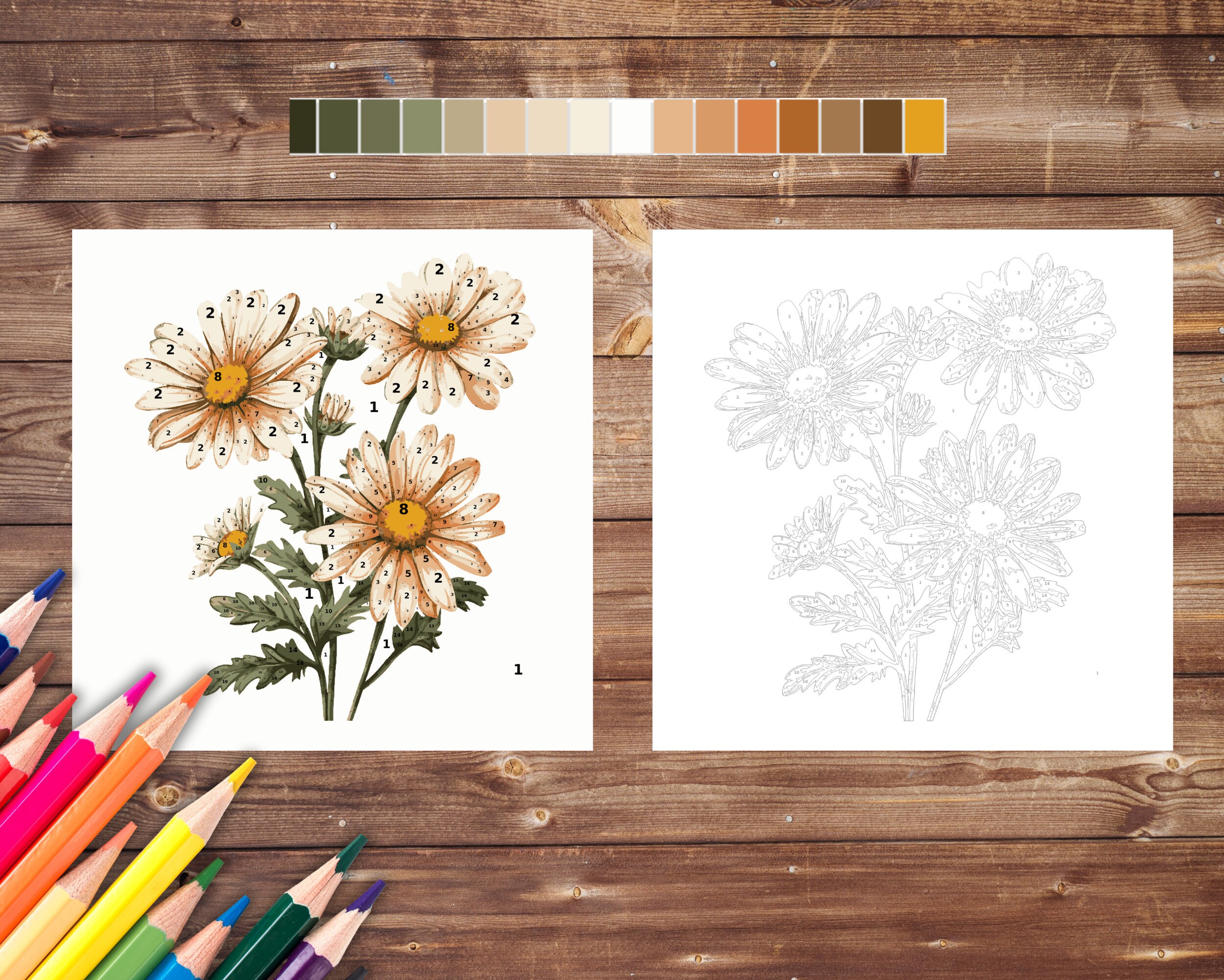 April Birth Flower Color by Number, Daisy Flower Paint by Number for ...