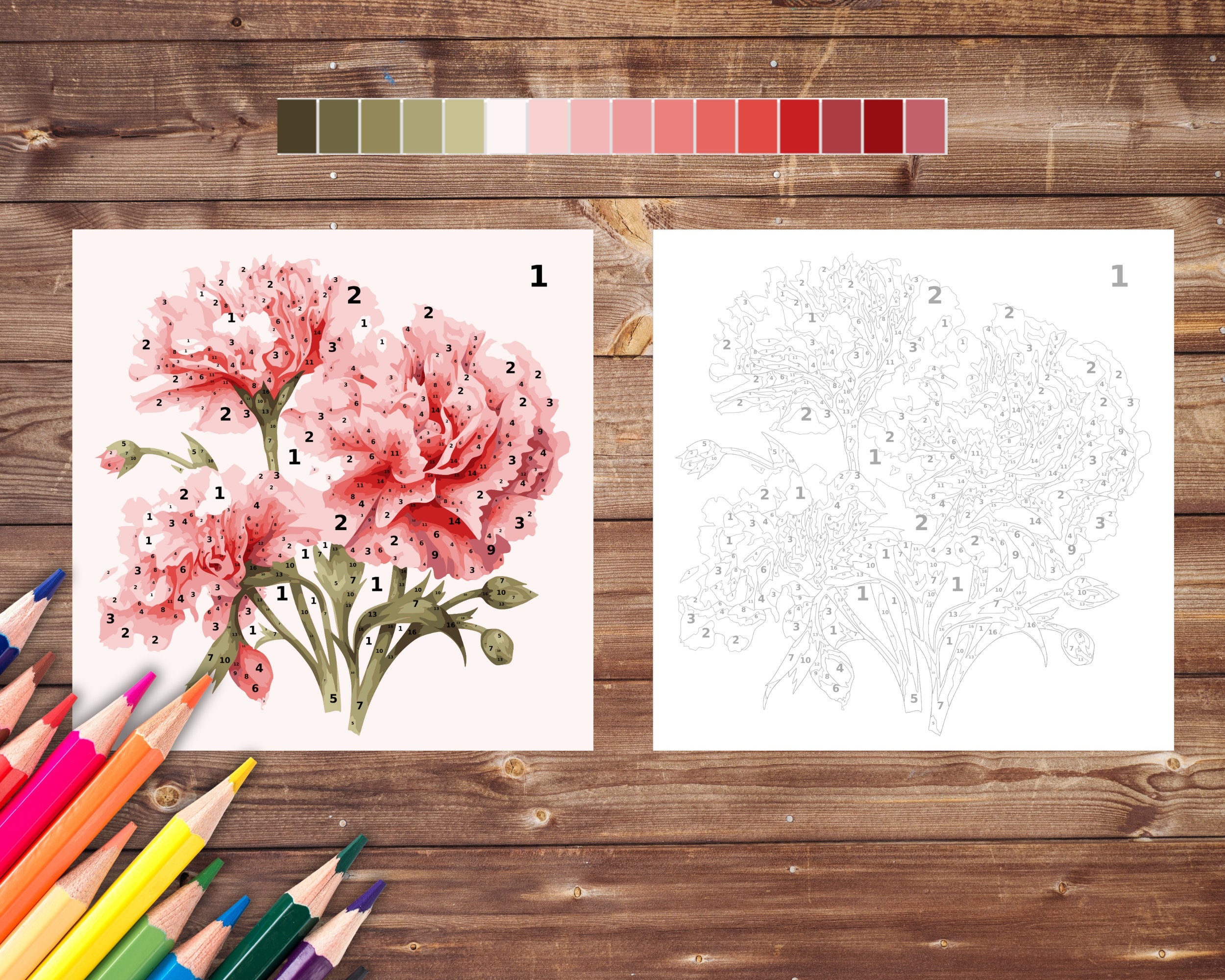 January Birth Flower Color by Number, Carnation Flower Paint by Number ...