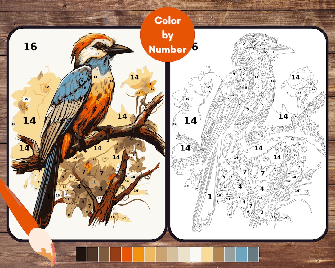 Parrot Color by Number for Adults, Bird Paint by Number, Printable ...