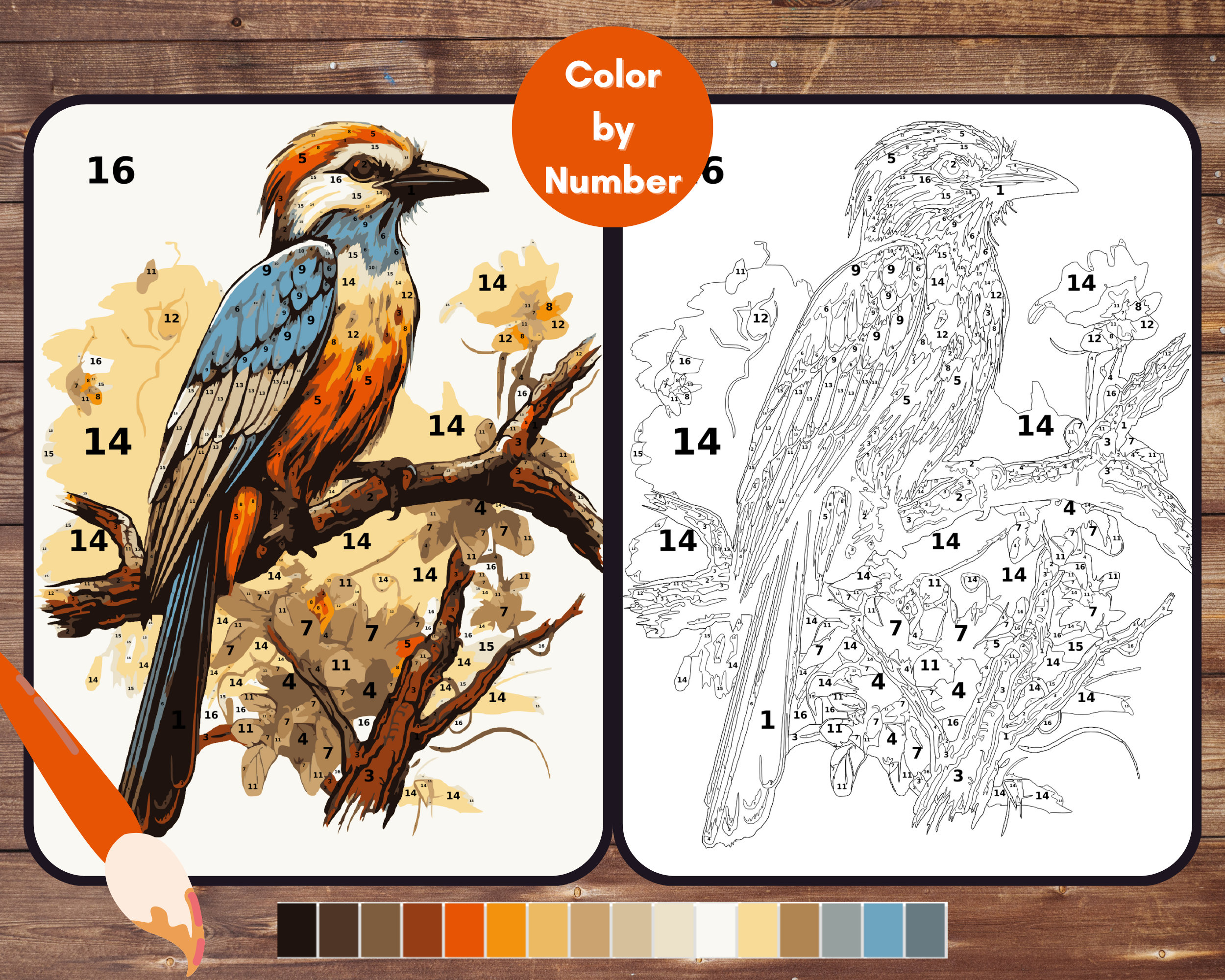 Parrot Color by Number for Adults, Bird Paint by Number, Printable ...
