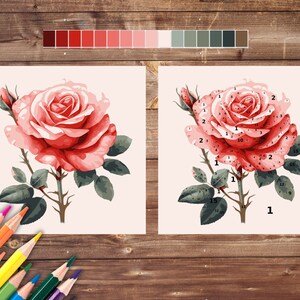 June Birth Flower Color by Number, Rose Paint by Number for Adult ...