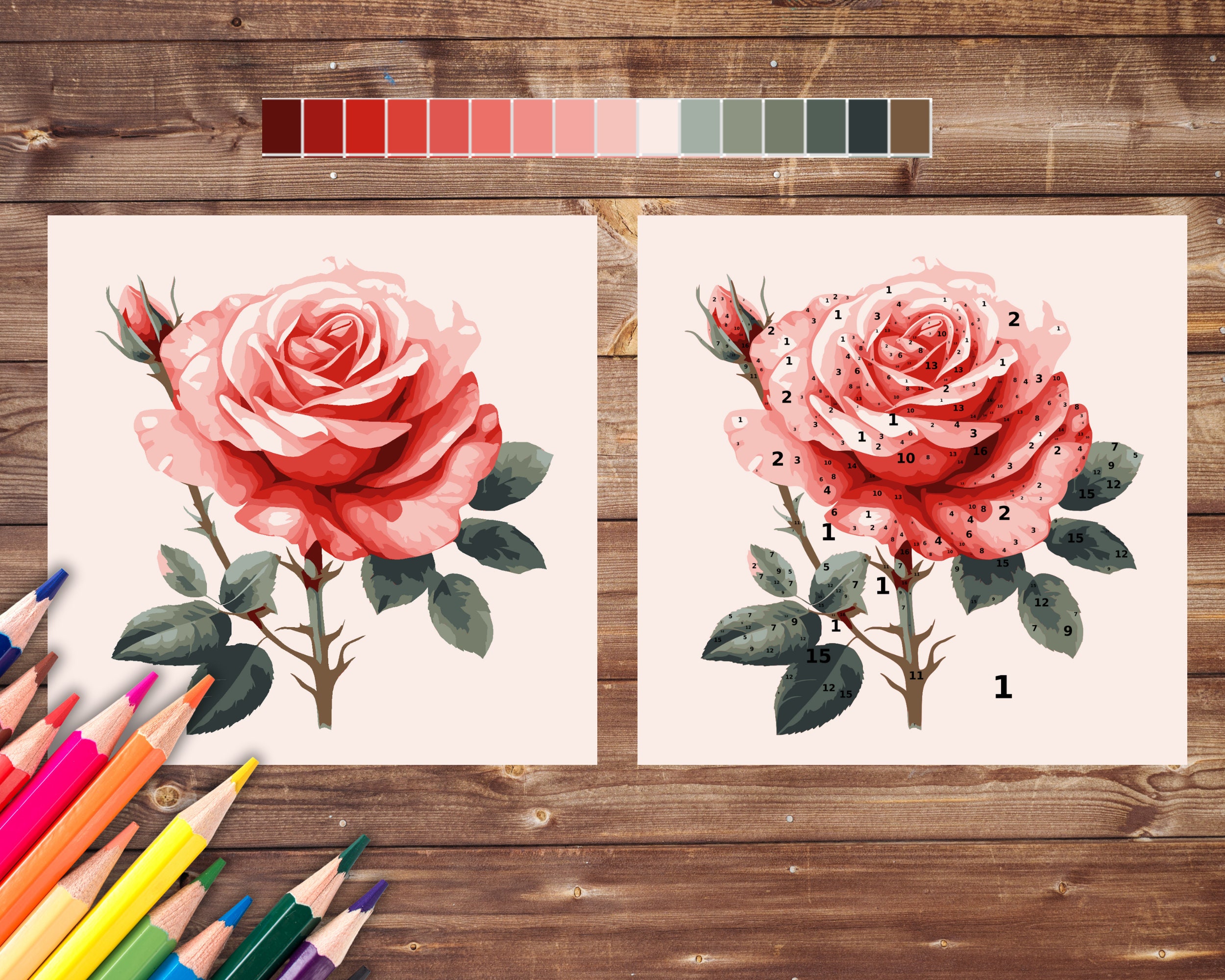 June Birth Flower Color by Number, Rose Paint by Number for Adult ...