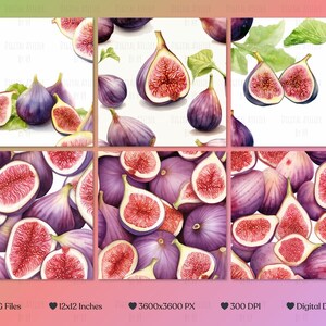Seamless Fig Digital Paper Pack. Digital Download. - Etsy