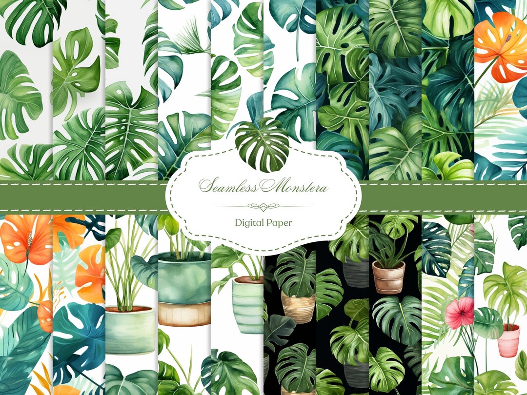 Seamless Monstera Plant Digital Paper Pack. Green. Digital Download. - Etsy