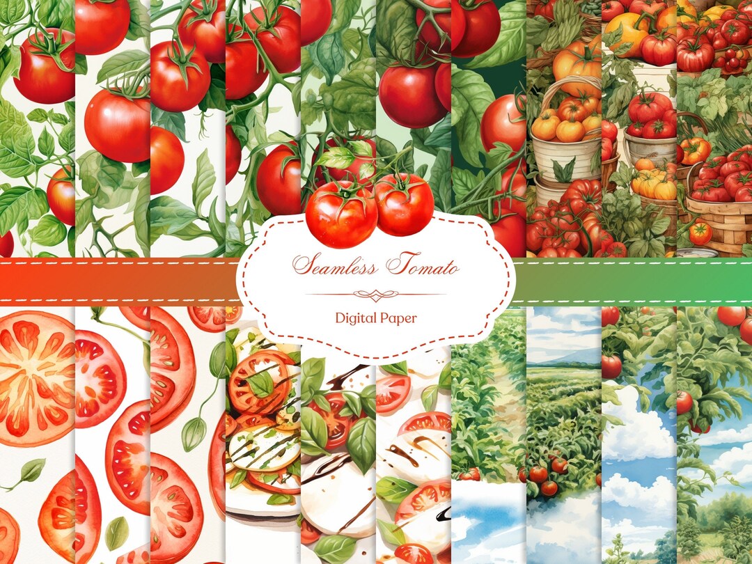 Seamless Tomato Digital Paper Pack. Digital Download. - Etsy