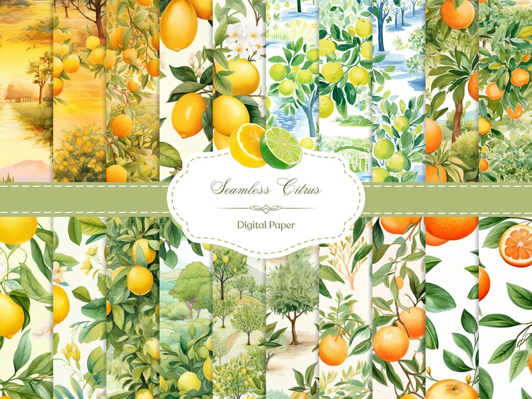 Seamless Citrus Digital Paper Pack. Digital Download. - Etsy