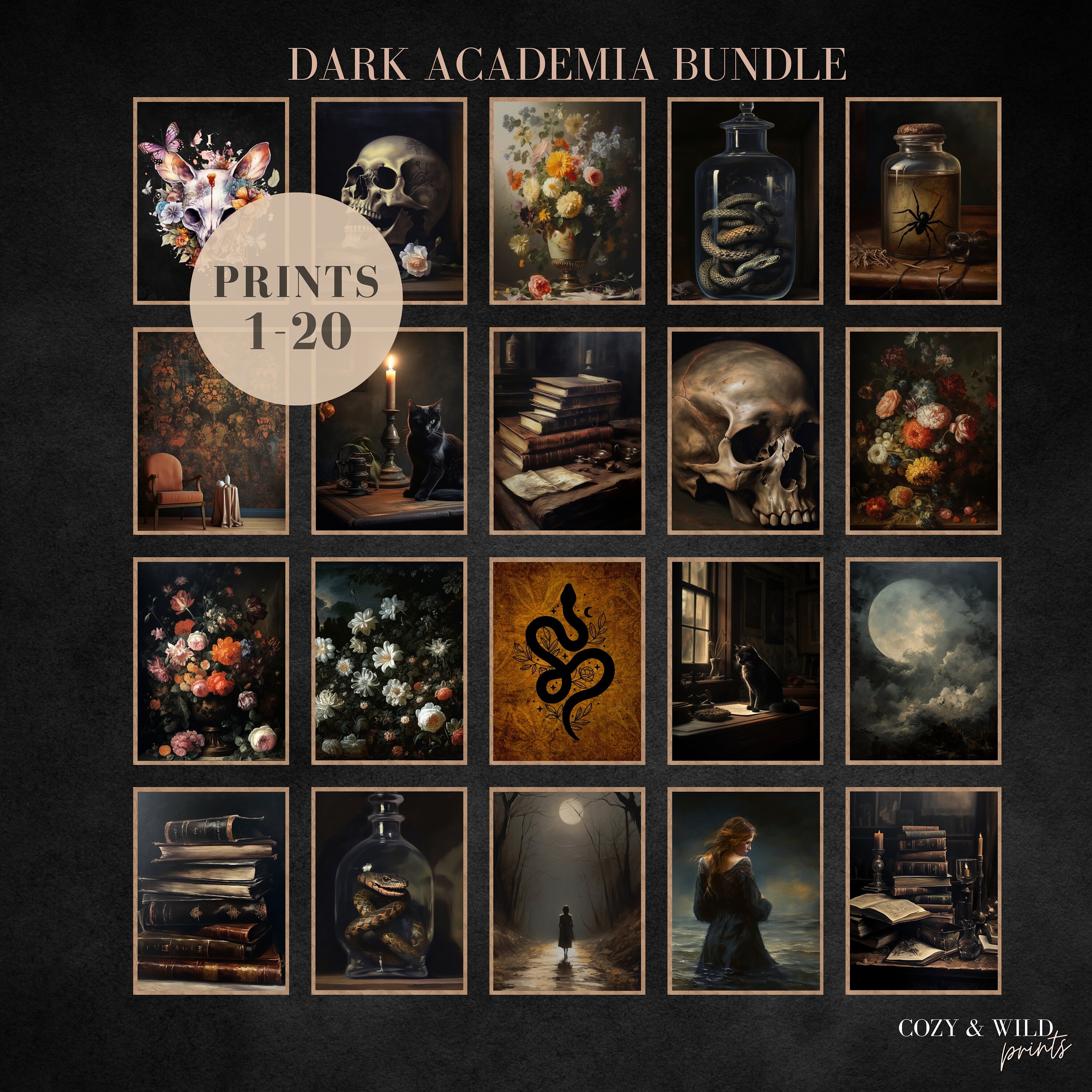 Academia Bundle Prin Ts, Printable Aesthetic Gallery Vintage Art Prints ...
