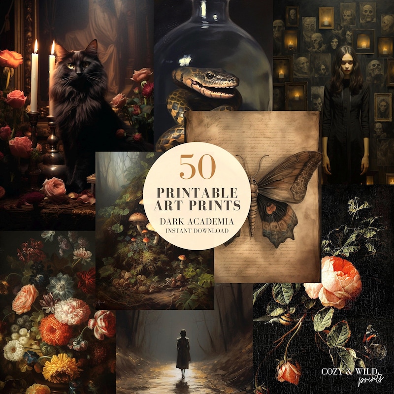 Dark Academia Decor - Etsy