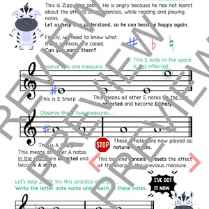 The Effects of Accidentals - Worksheet + Answ Key - Music Theory - Etsy