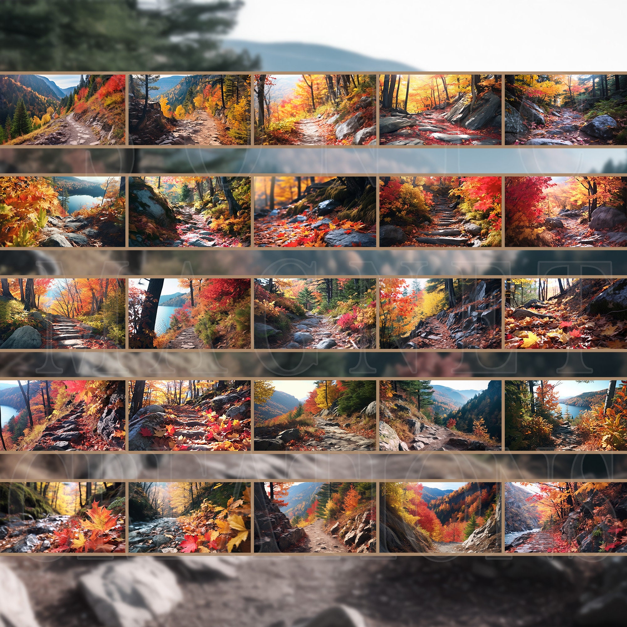 Fall/autumn Themed Backdrops Digital Photography Bundle of - Etsy
