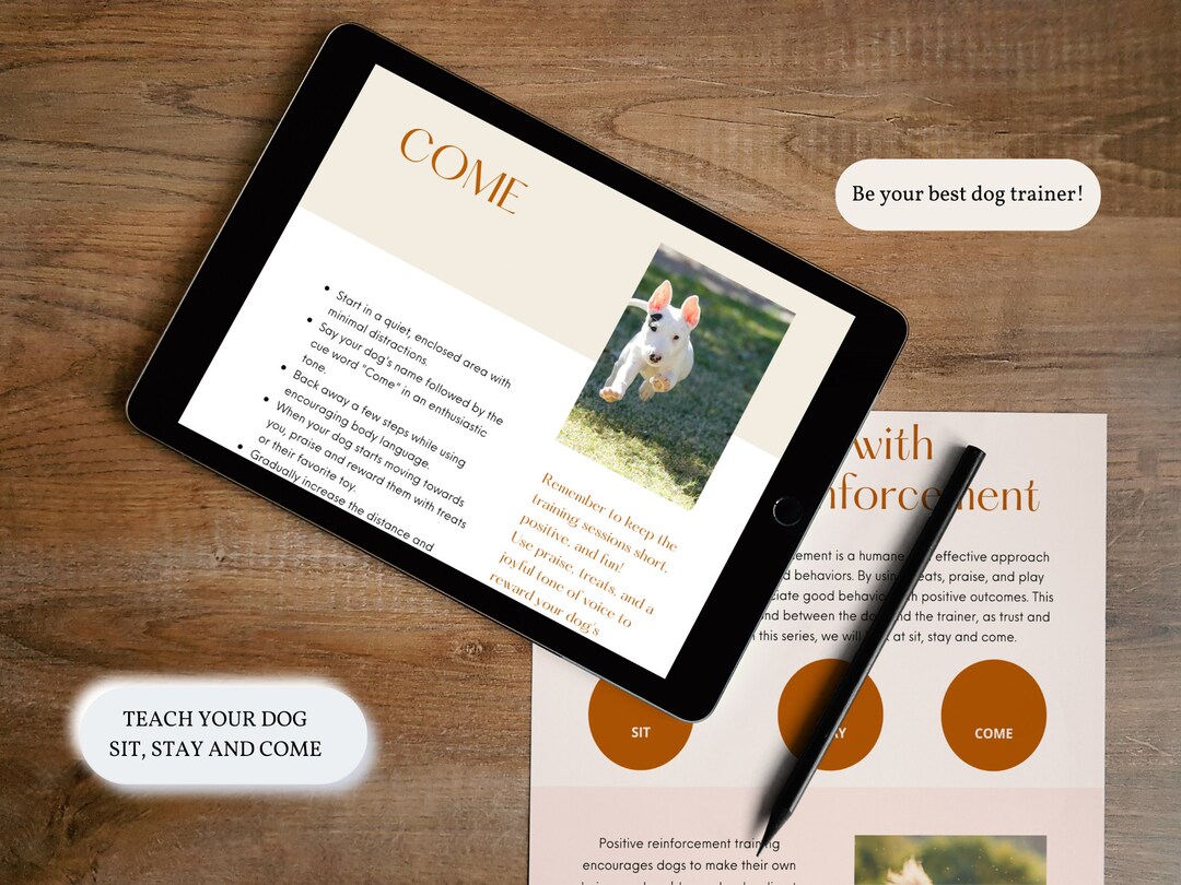 Dog Training: Sit Stay and Come. Printable PDF Teach Your - Etsy