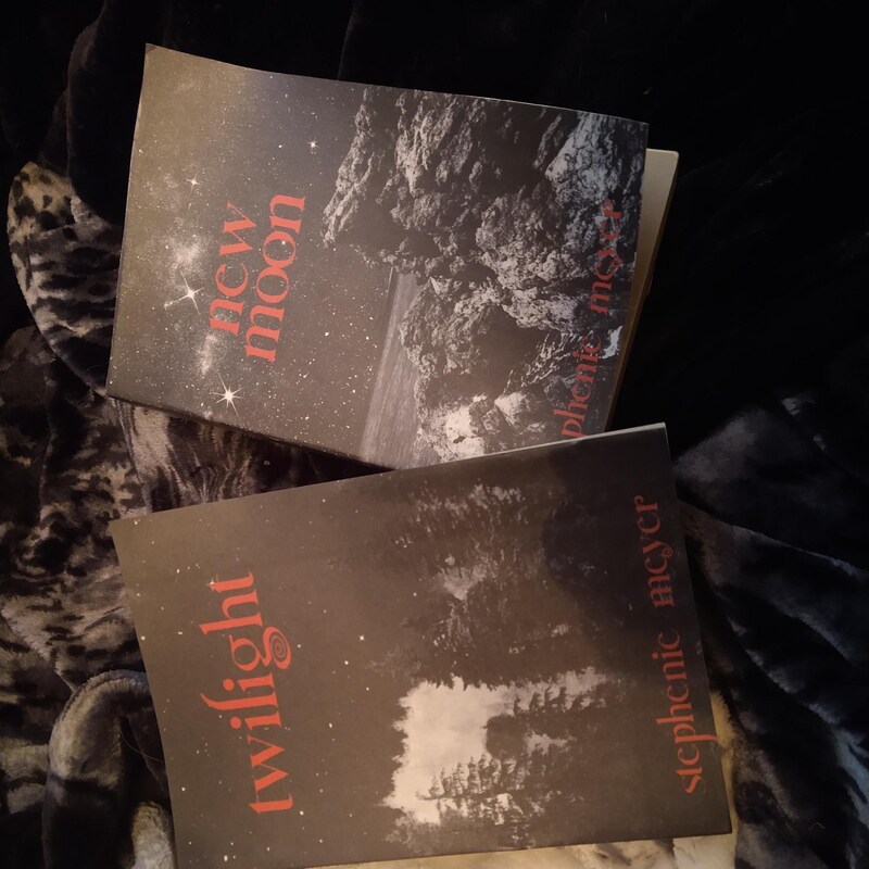 Manacled Book Cover - Etsy