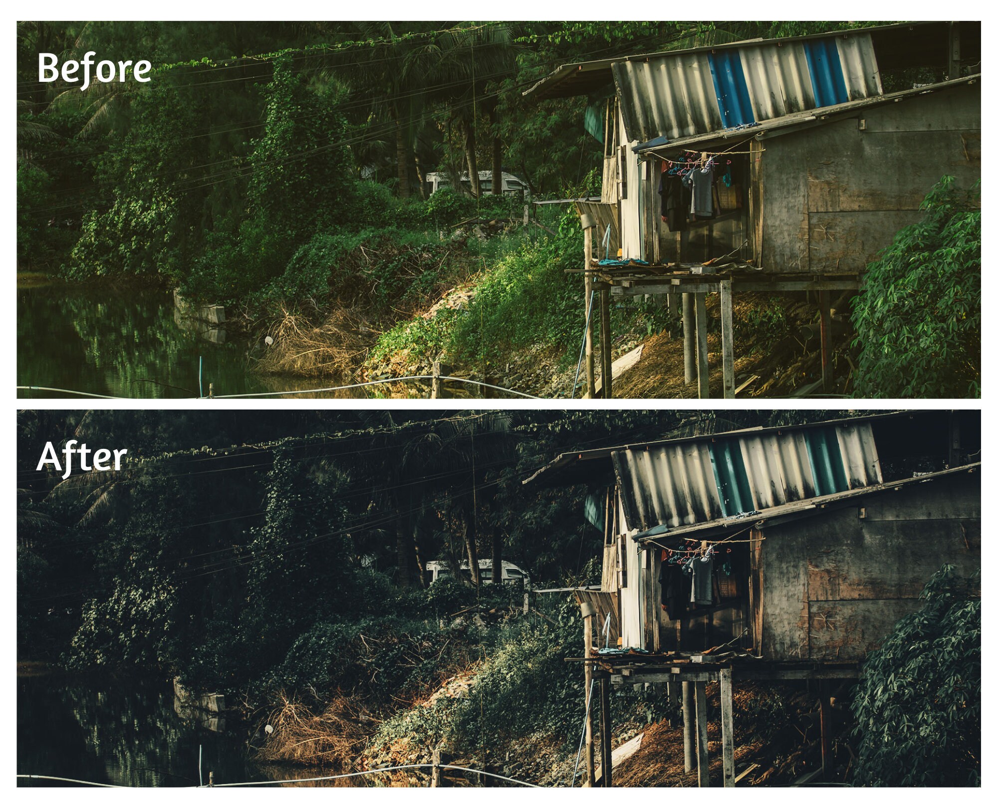 50 ZEN Film Luts: Retro Video & Photo Presets (digital Download) - Etsy
