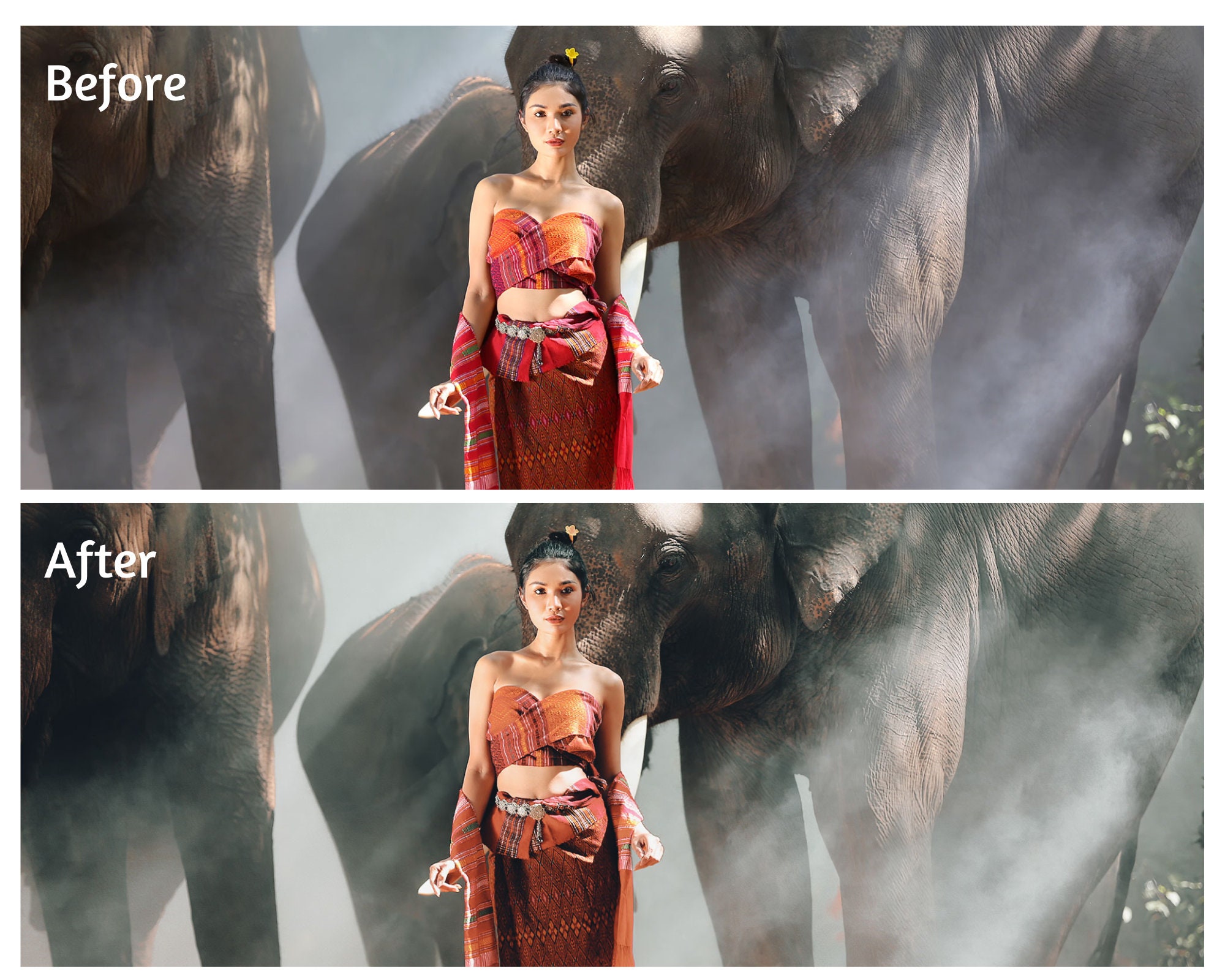 50 ZEN Film Luts: Retro Video & Photo Presets (digital Download) - Etsy