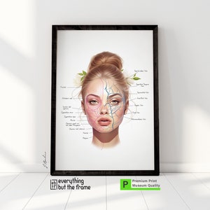 Facial Anatomy Art Print Model 2b, Facial Muscles and Veins, Aesthetics ...