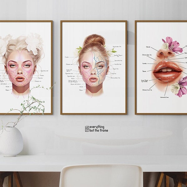 Facial Anatomy Poster for Injectors - Etsy
