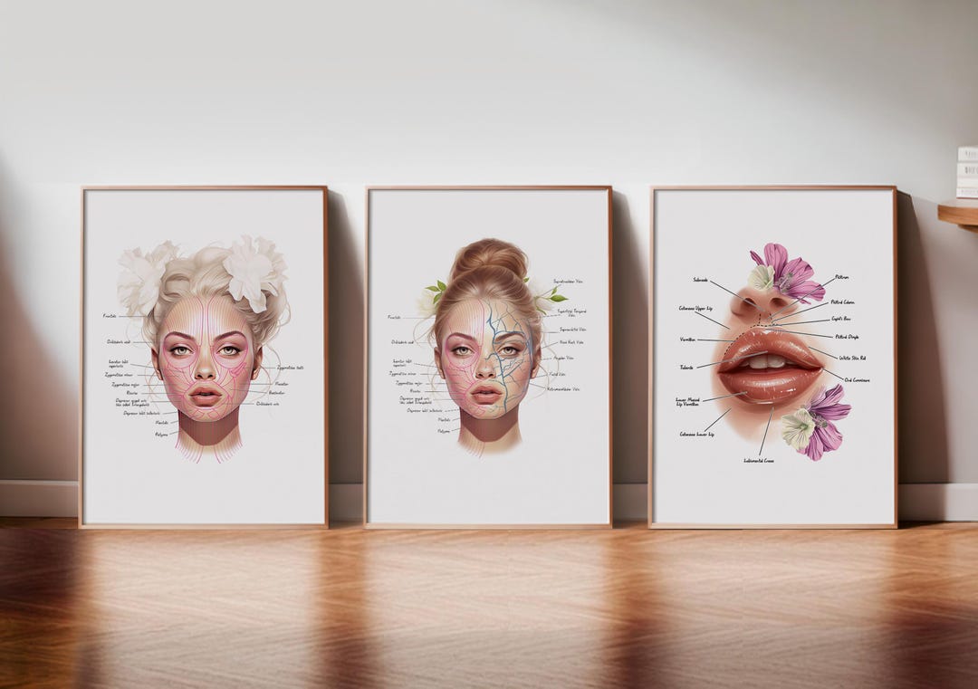 Facial Anatomy Art Set, Facial Muscles and Veins, Esthetician Art ...