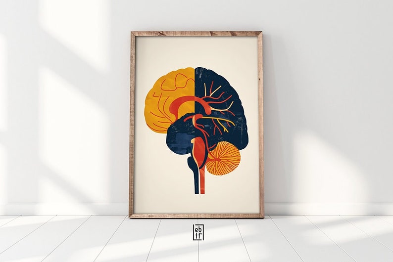 Human Brain Wall Art, Anatomy Print, Brain Anatomical Art, Medical ...