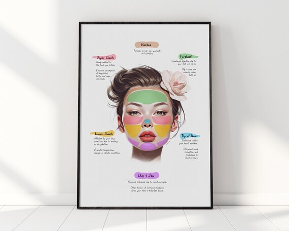 Zit Anatomy Anatomy Drawing Diagram