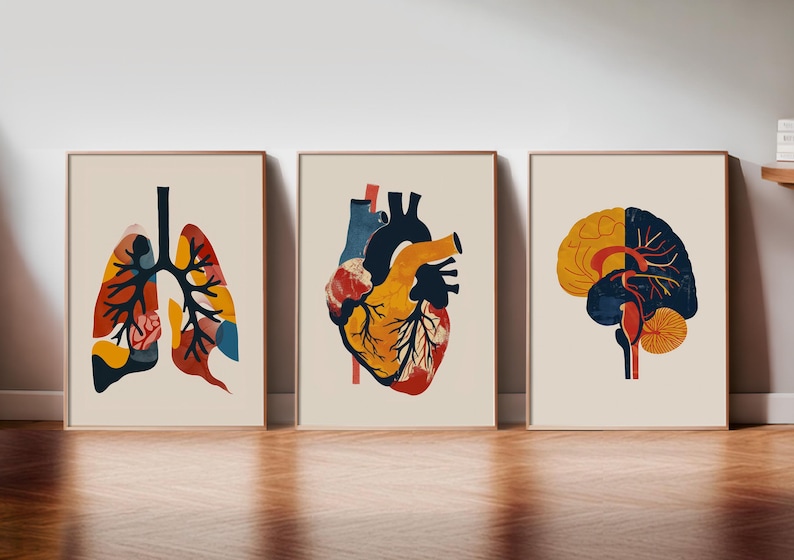 Abstract Anatomy Set, 3 Pcs, Anatomy Print, Human Anatomy Art, Medical ...