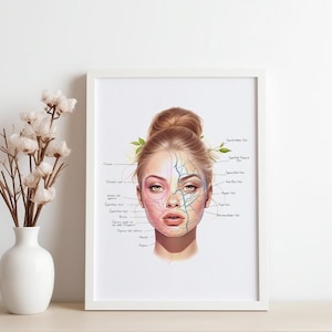 Facial Anatomy Print, Blonde Model, Facial Muscles & Veins, Esthetician ...