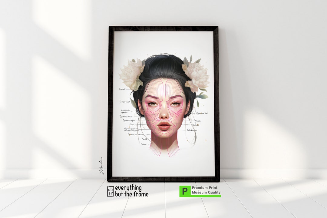 Facial Anatomy Art Print Model 5, Facial Muscles, Esthetician Art ...