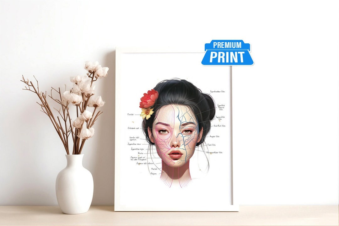 Facial Anatomy Art Print Model 5b, Facial Muscles, Esthetician Art ...