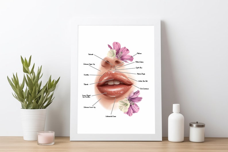 Lip Anatomy Diagram Print Esthetician Art, Anatomy Wall Art, Botox ...