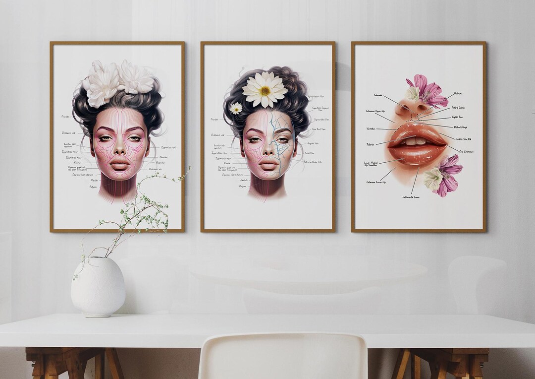 Facial Anatomy Art Set, Facial Muscles and Veins, Esthetician Art ...