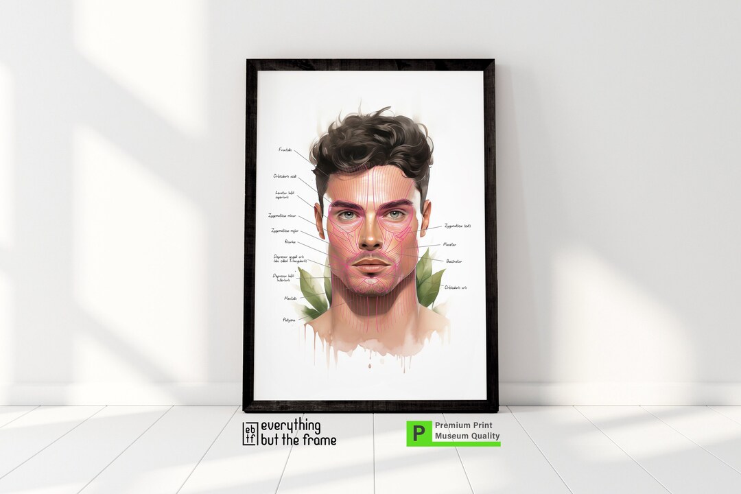 Facial Anatomy Art Print Male Model 1, Facial Muscles, Aesthetics Art ...