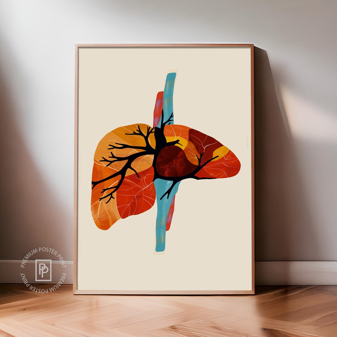 Anatomy Wall Art, Human Liver Print, Abstract Wall Art, Human Organ Art ...