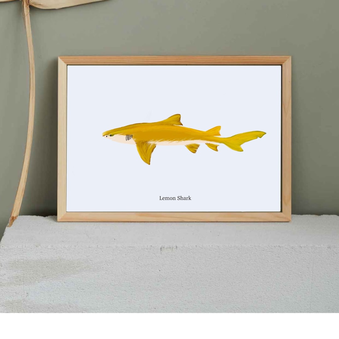 Lemon Shark Wall Art,,shark Printable, Lemon Shark Poster Printable ...