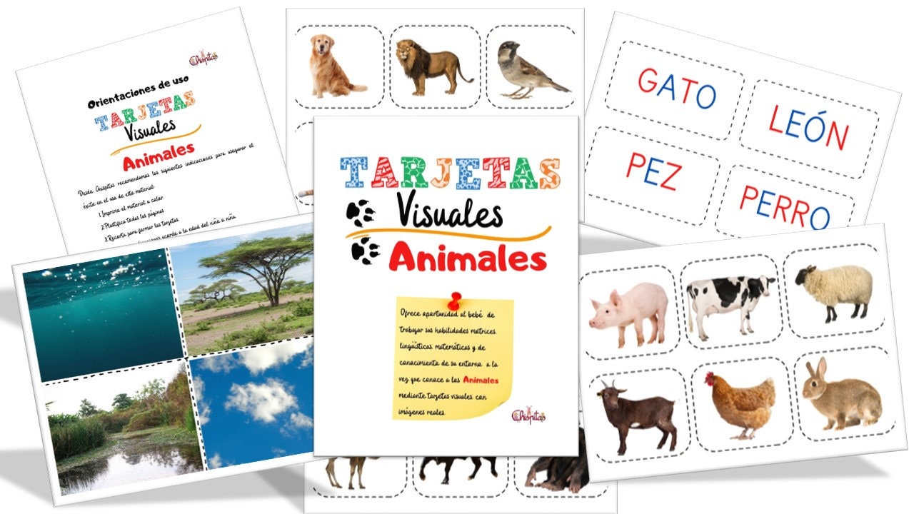 ANIMAL VISUAL CARDS - Etsy