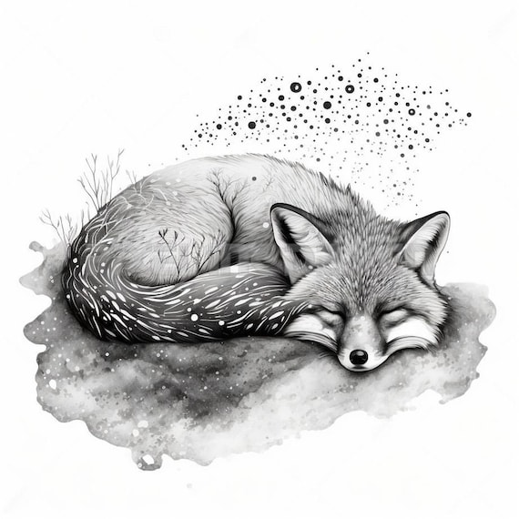Sleeping Fox Sketch