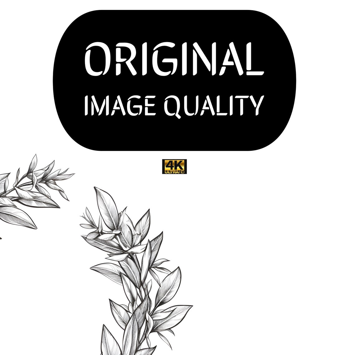 Roman Laurel Tattoo Design 4K High Resolution PNG Instant - Etsy