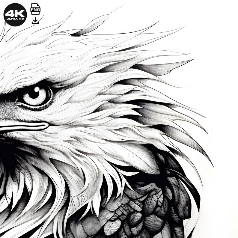 Eagle Tattoo Design Detailed High Resolution Digital Art on White Background Printable Tattoo ...