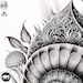 Seashell Tattoo Design Download High Resolution Digital Art PNG ...