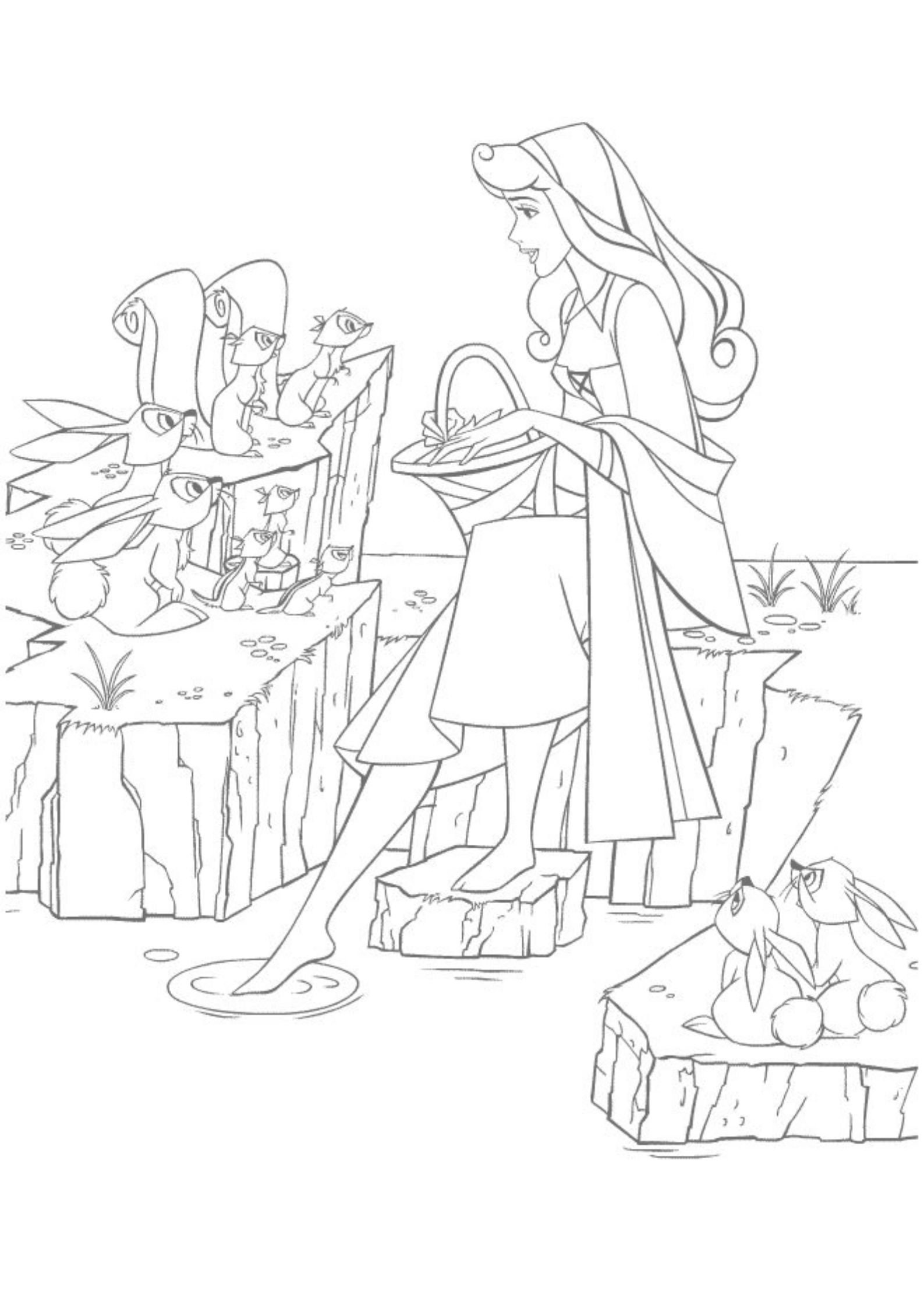 Aurora Coloring Book - Etsy