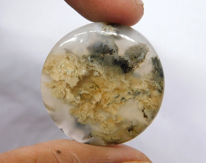 Aaaquality Dendrite Tiger Agate Cabochon Dendrite Tiger Agate Gemstone ...