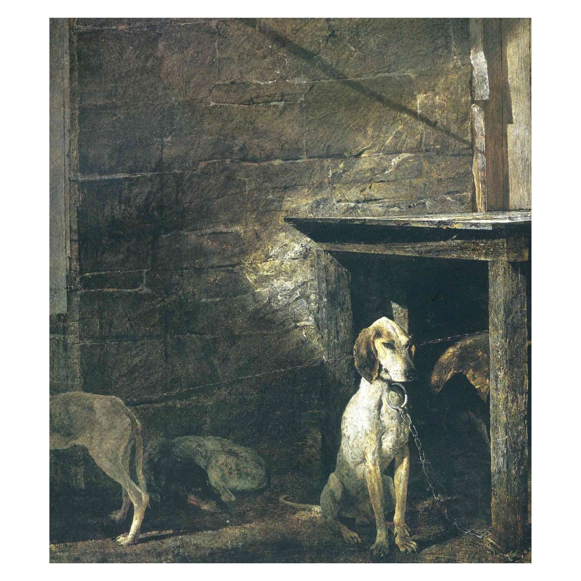 Giclée Fine Art Print; "raccoon" by Andrew Wyeth; Painting Circa 1958 ...