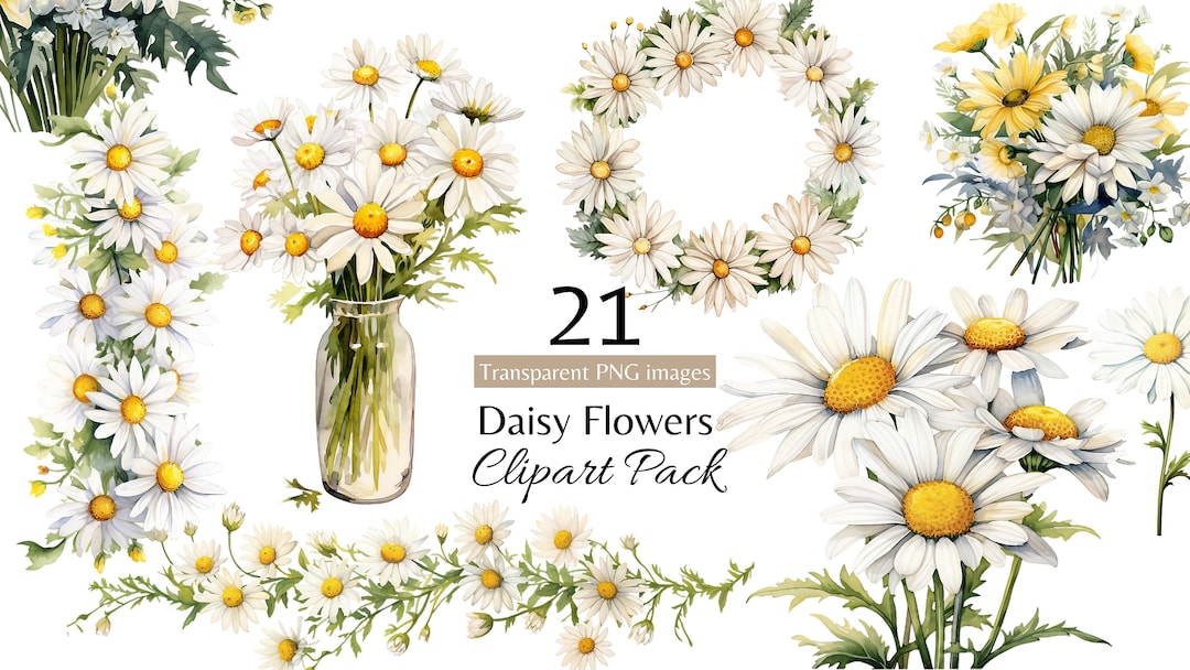 Spring Daisy Clipart | Watercolor April Birth Flower Clip Art | Flower ...