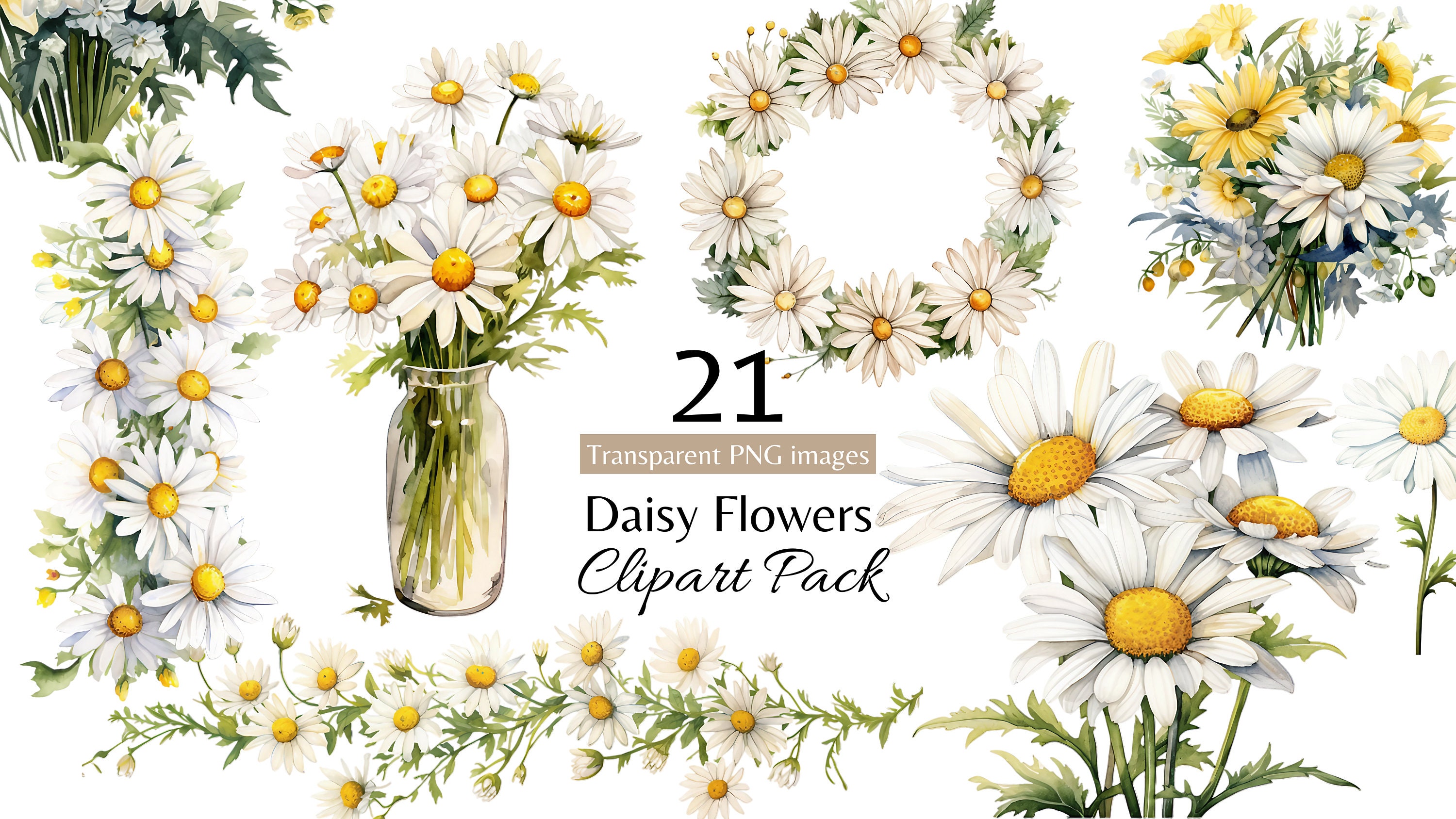 Spring Daisy Clipart | Watercolor April Birth Flower Clip Art | Flower ...
