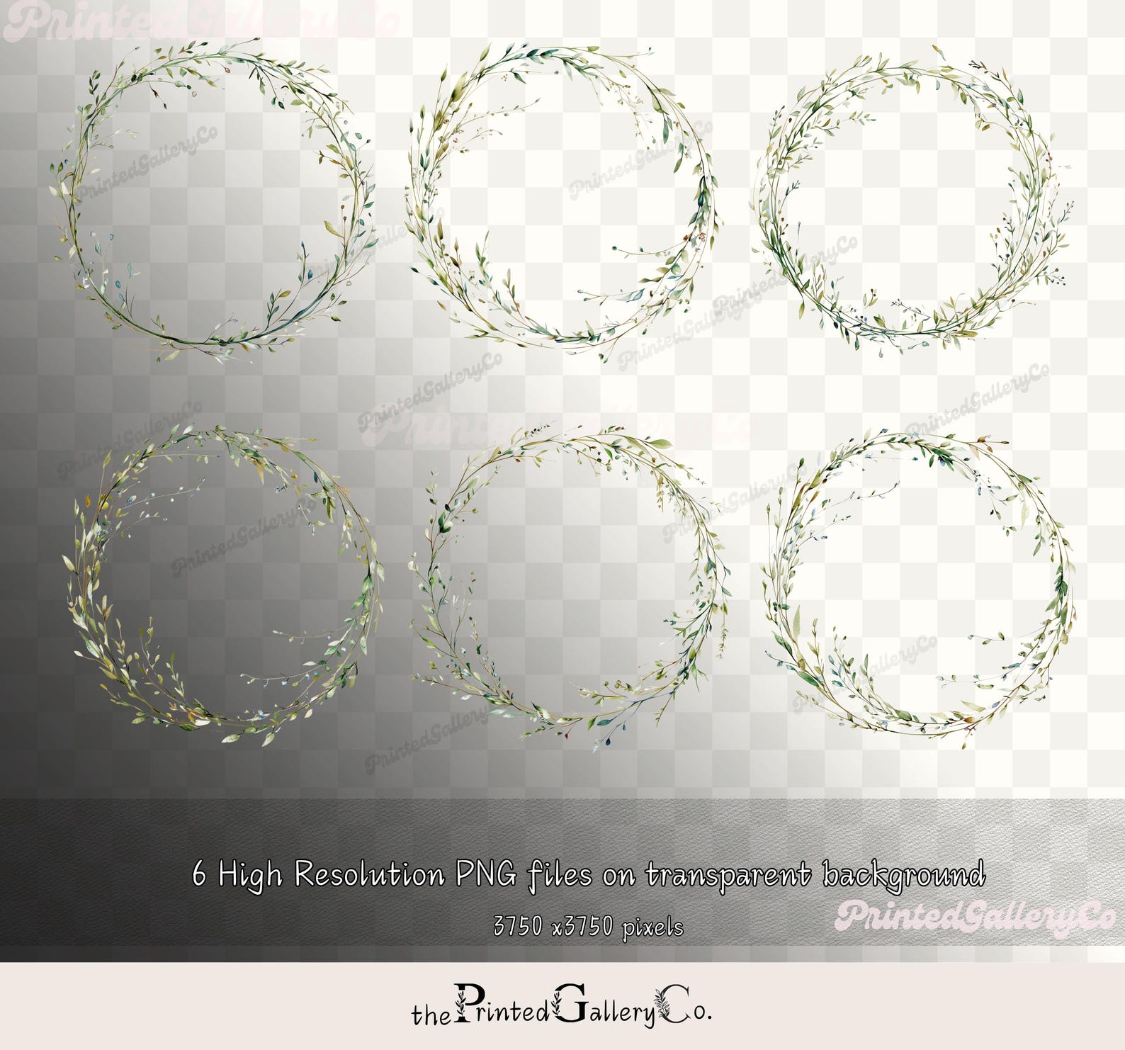 Dainty Floral Borders Watercolor Flower Clipart, Wild Floral Elements ...