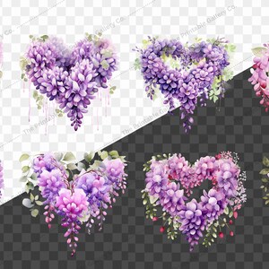 Watercolor Wisteria Clipart, Digital Clip Art Graphics of Watercolor ...