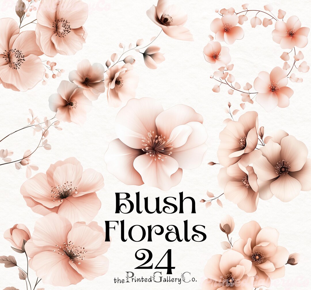 24 Blush Floral Clipart Bundle | Romantic Pastel Pink Flowers PNG ...