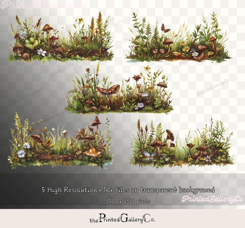 Watercolor Mushroom Grass Borders | Wild Mushroom & Floral Fields PNG ...