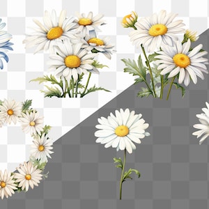 Spring Daisy Clipart | Watercolor April Birth Flower Clip Art | Flower ...